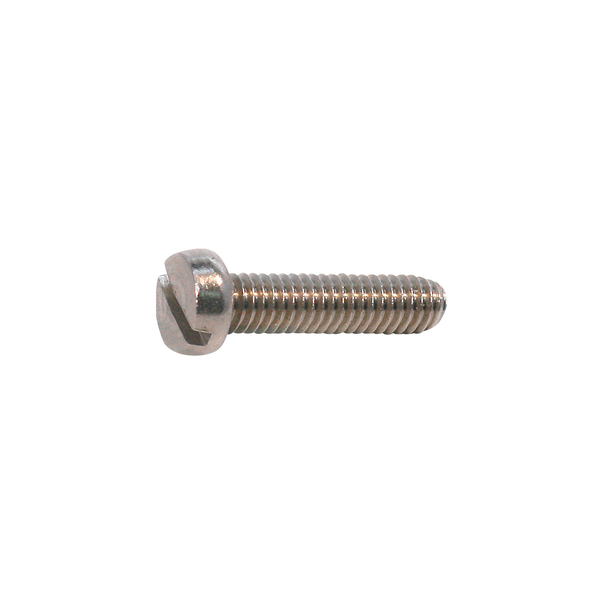 Stainless Steel Cheese Head Machine Screws